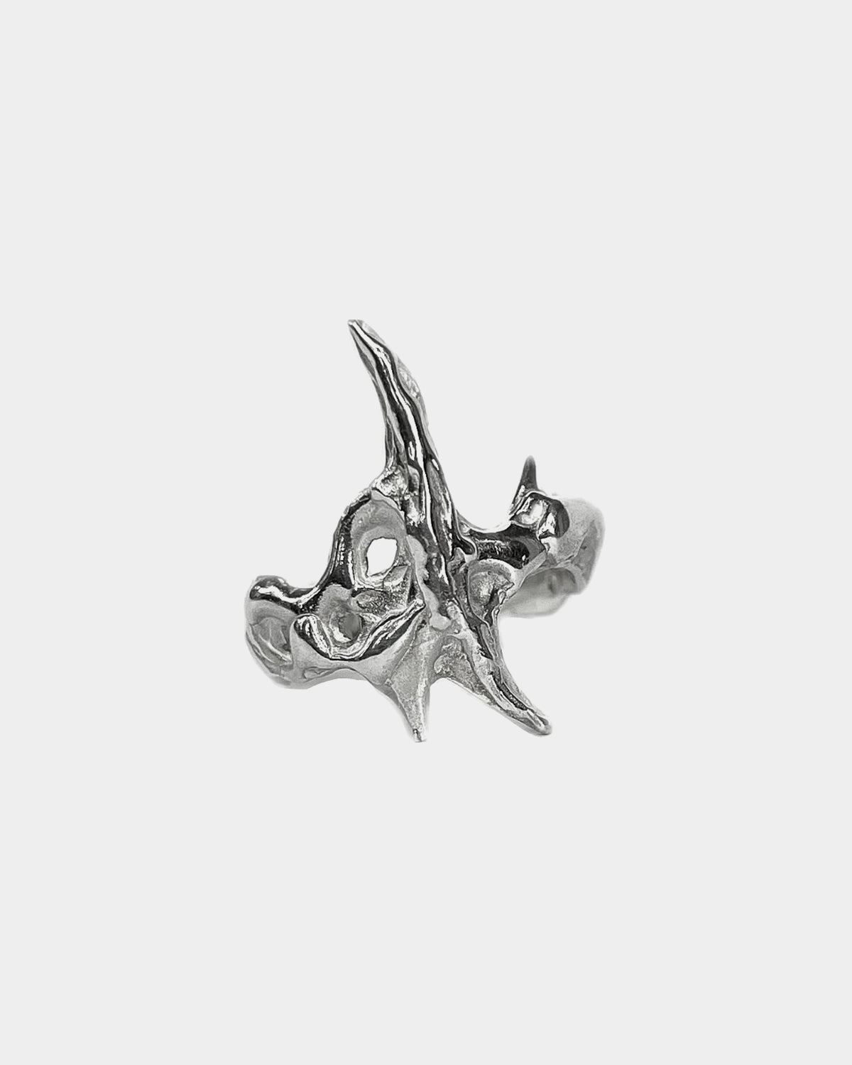 Metal Lustrous Ring – Pompa Shop